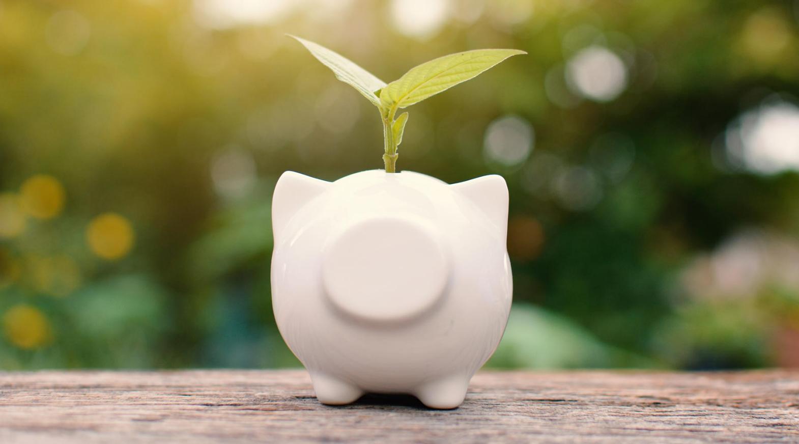 Tipps für eine sichere Geldanlage